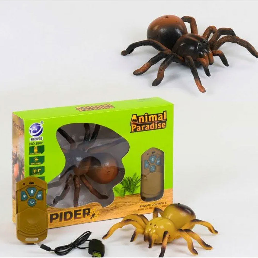 Animal Paradise Creepy Remote Control Spider – The Toy Factory